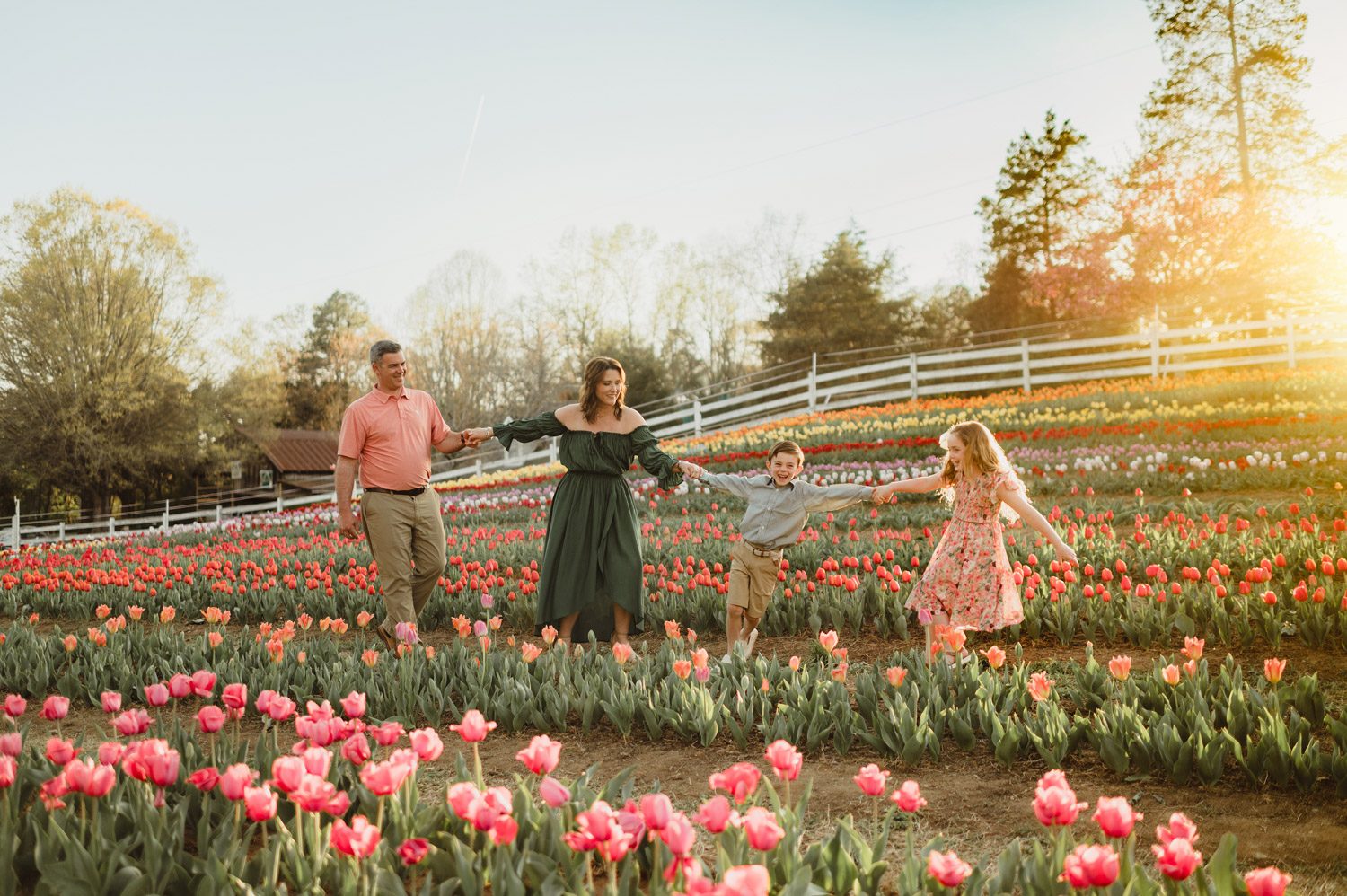Dewberry Farm Tulip Photos: A Meaningful Spring Family Session in ...